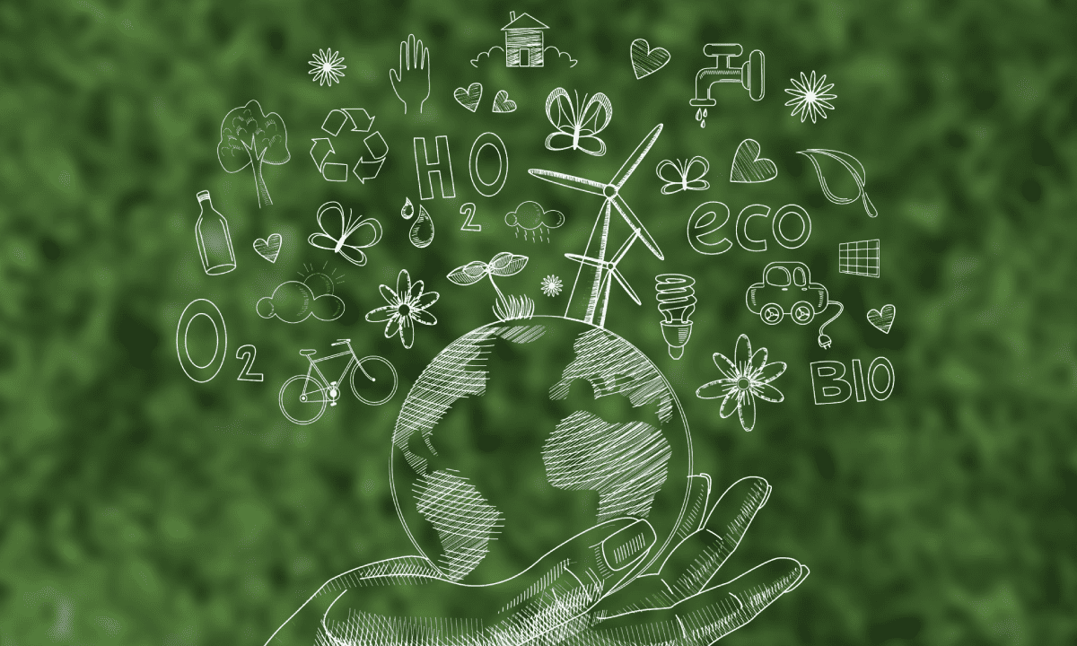 Desenvolvimento sustentável: o que é, importância e objetivos