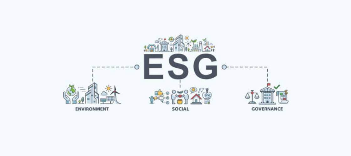 Tudo sobre ESG: o que é, critérios, como implementar e mais!